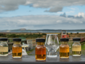 12 Fall Resident Event Ideas to Celebrate the Season - Circuit