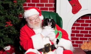 15 Unforgettable Holiday Resident Event Ideas to Liven up Your ...